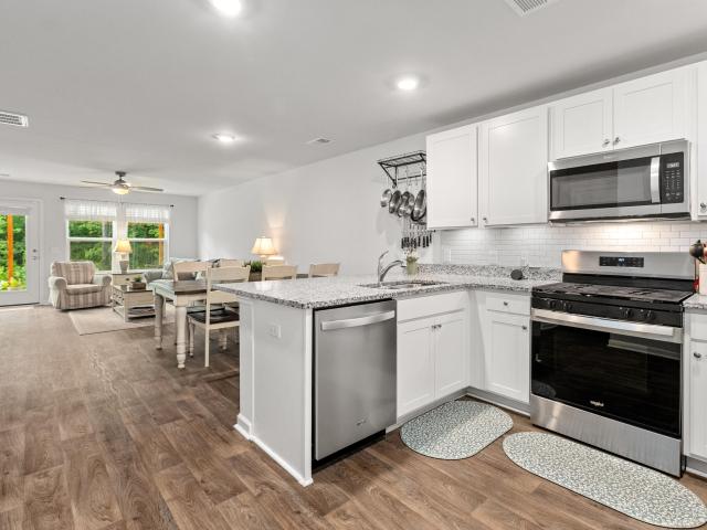 283 Ivory Shadow Road