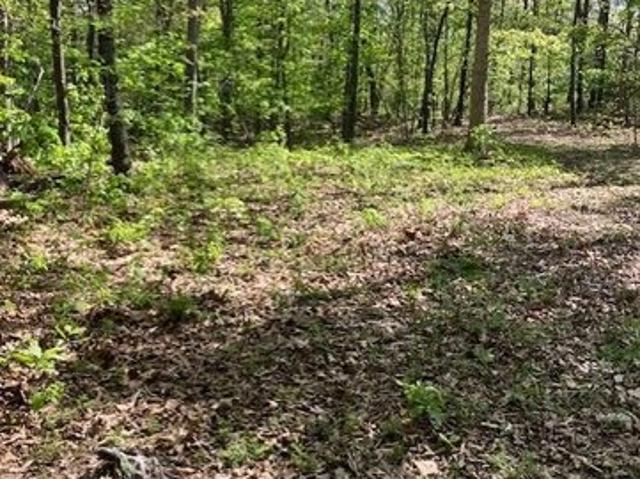283 Madison St # 410, Fredericktown, MO 63645