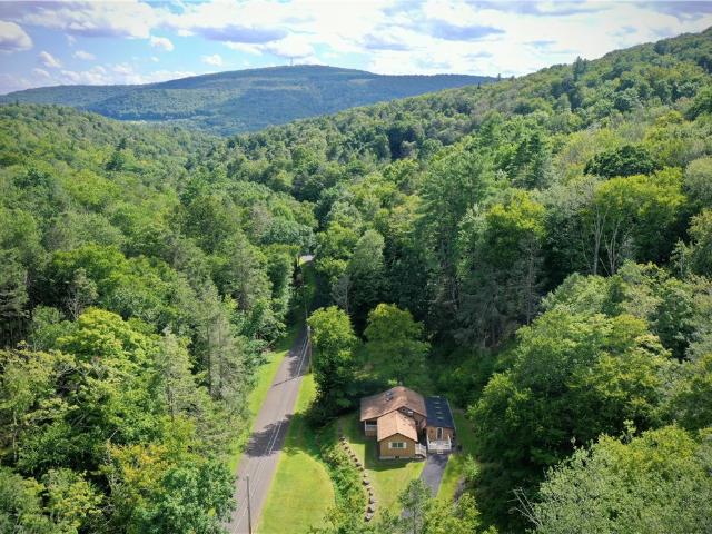 283 Pepacton Hollow Road
