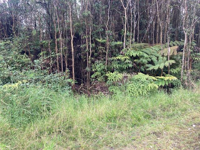 283 Road 5 Volcano Hi 96785, Mountain View, HI 96771 | MLS #717454