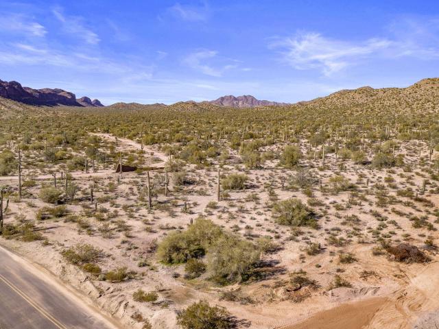 28450 N Bison Lane