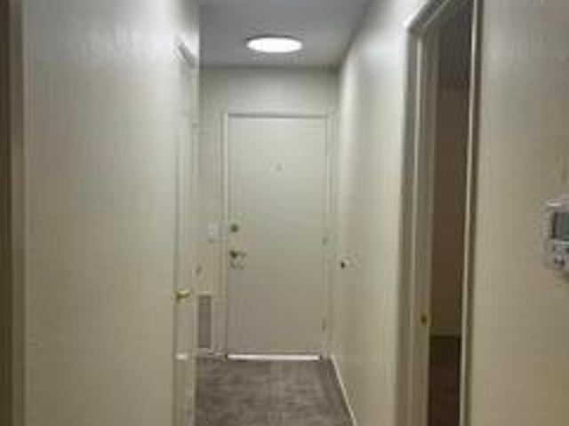 2841 Thicket Place