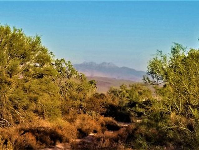 28425 N 159th St, Scottsdale, AZ 85262
