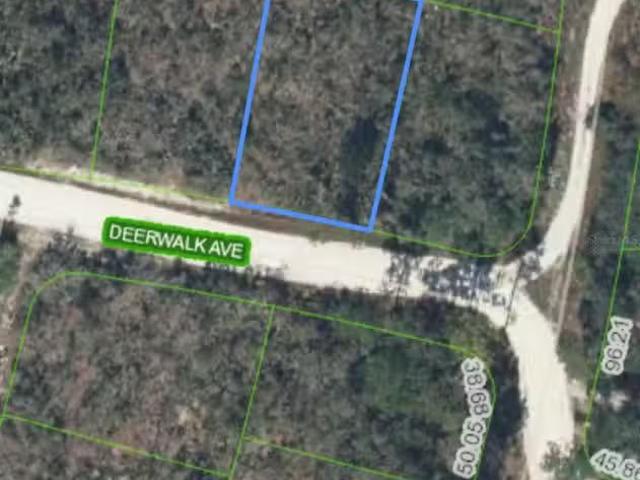 284 DEERWALK AVE, LAKE PLACID, FL 33852 Vacant Land For Sale.