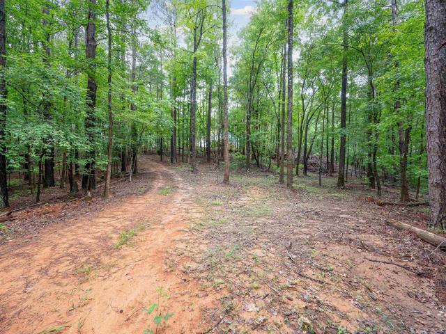 284 Nichols Road # 1