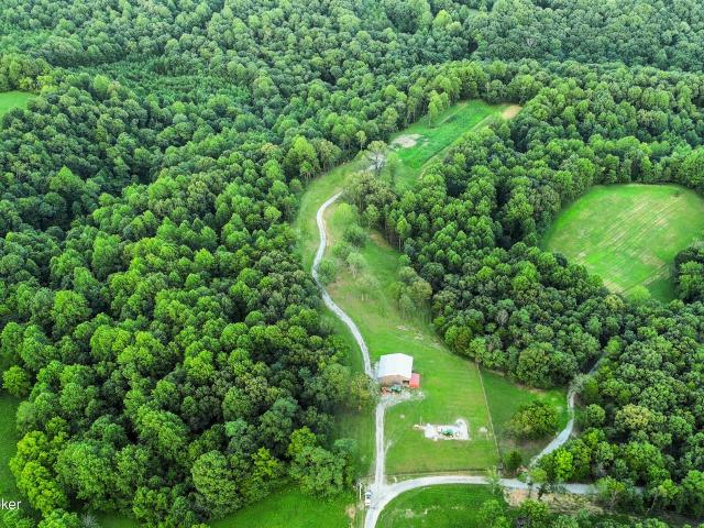 284 Possum Hollow Rd