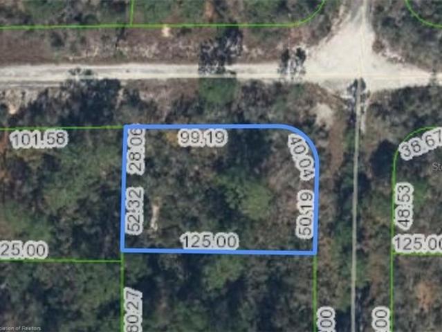 284 Rainbow Dr, Lake Placid, FL 33852