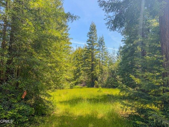 28540 Albion Ridge Rd, Albion, CA 95410