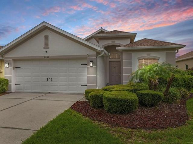 2850 Banyan Hill Ln, Land O Lakes, FL 34639