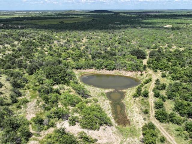 2850 County Road 122, Moran, TX 76464 | MLS #20976