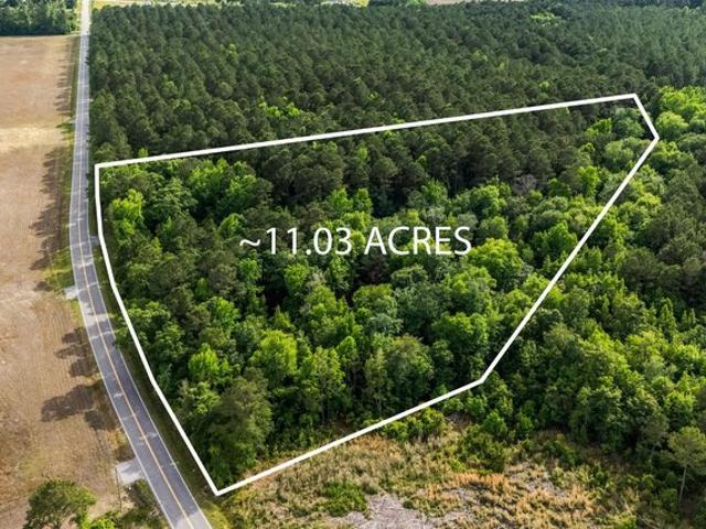 2850 Gause Rd Lot TRACT4, Loris, SC 29569