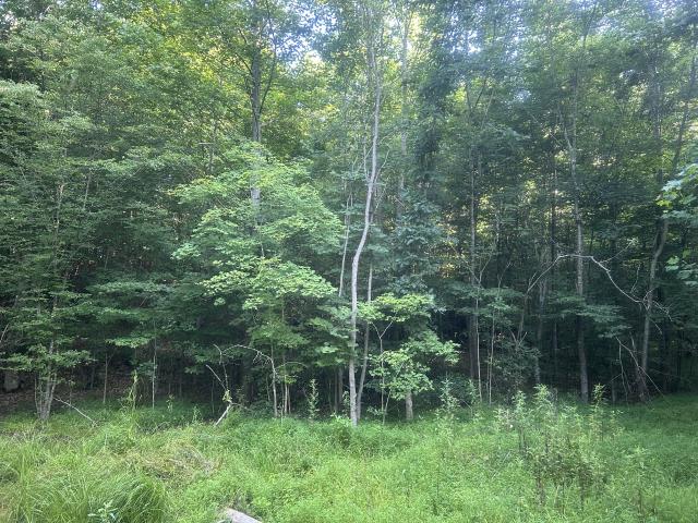2853 Old Natchez Trace Trail