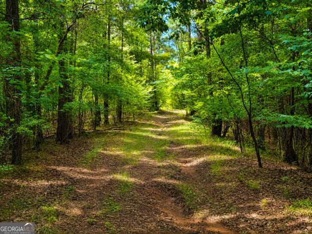 285 ACRES River Road
