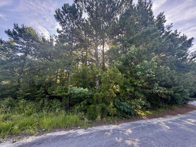 285 Dodge Point Dr Lot 18, Pinetops, NC 27864