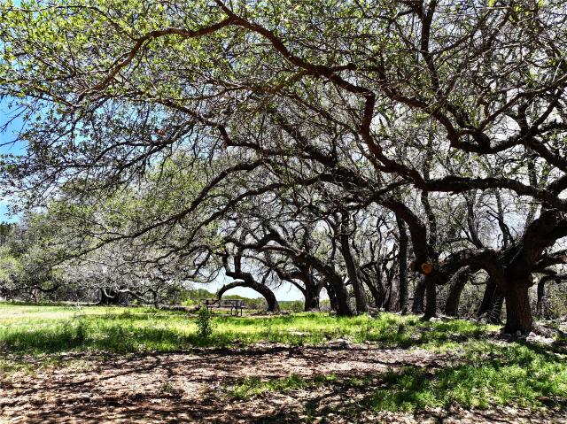 285 Donnie Dr, Lampasas, TX 76550 | MLS #5192