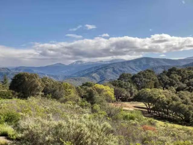 285 EL CAMINITO RD, CARMEL VALLEY, CA 93924 Single Family Resi.
