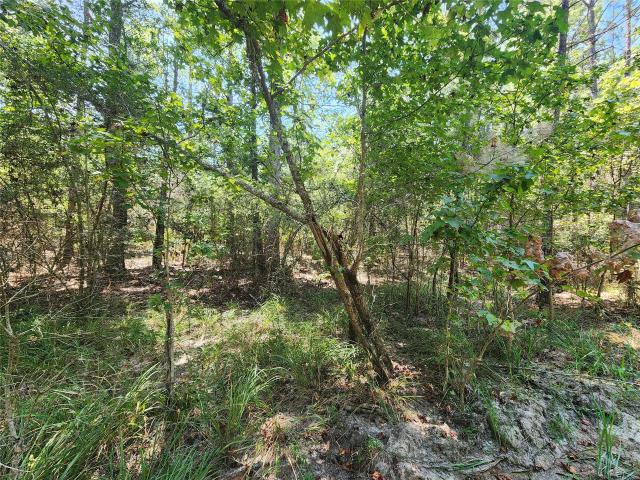 285 Sweet Gum Drive