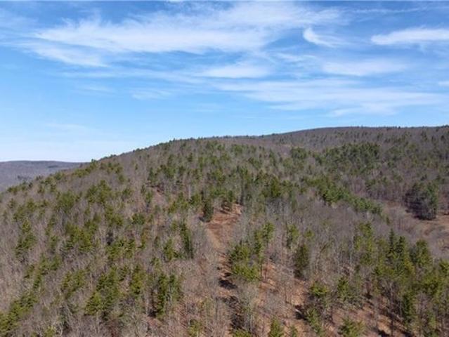 285 Patria Rd, Warnerville, NY 12187