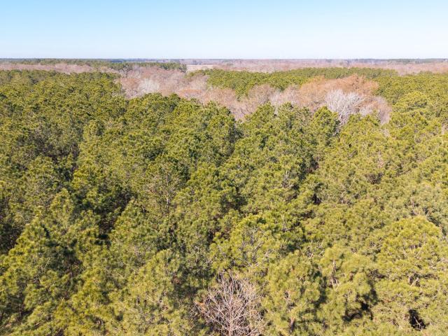 285 Riversound Drive # 185