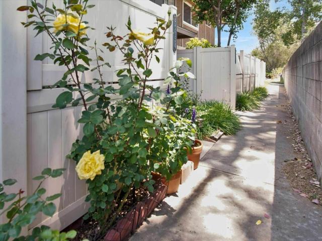 28654 Conejo View Drive, Agoura Hills, US, CA