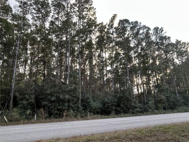28655 Joseph Rd, Hockley, TX 77447 | MLS #70886