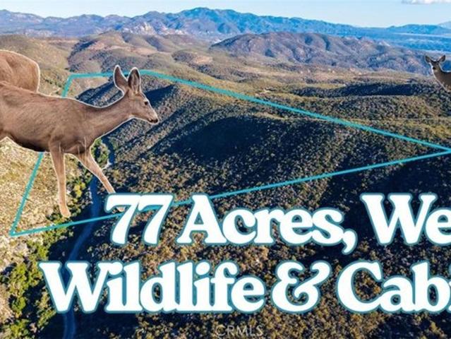 28618 Chihuahua Valley Rd, Warner Springs, CA 92086