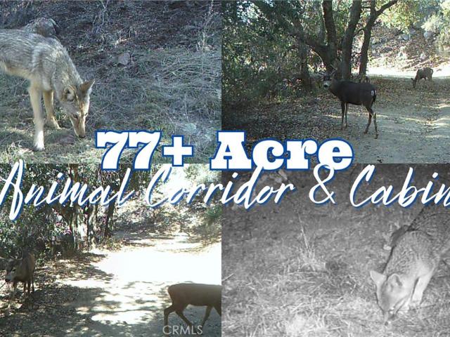 28618 Chihuahua Valley Road