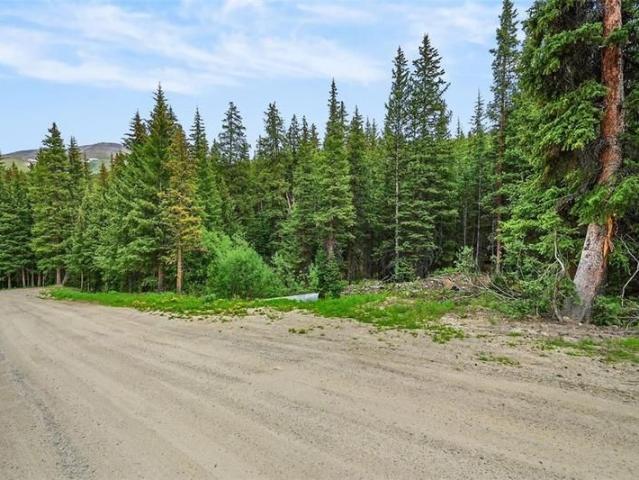 286 cty road 675, breckenridge, usa, co