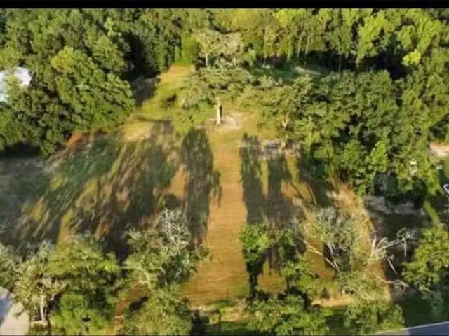 286 DEAD LAKE RD, CREOLA, AL 36525