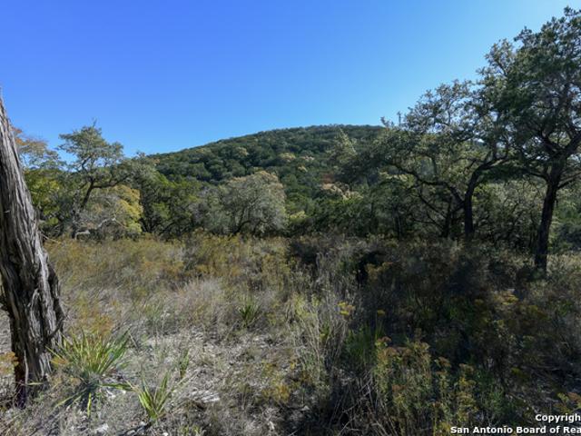 286 Private Road 1733