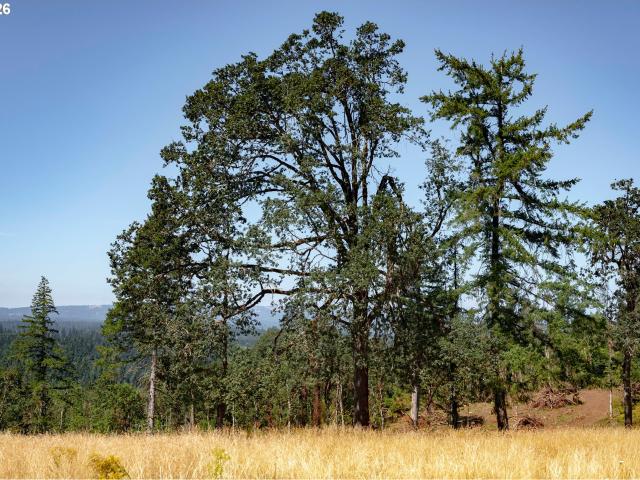 28795 sw petes mountain rd