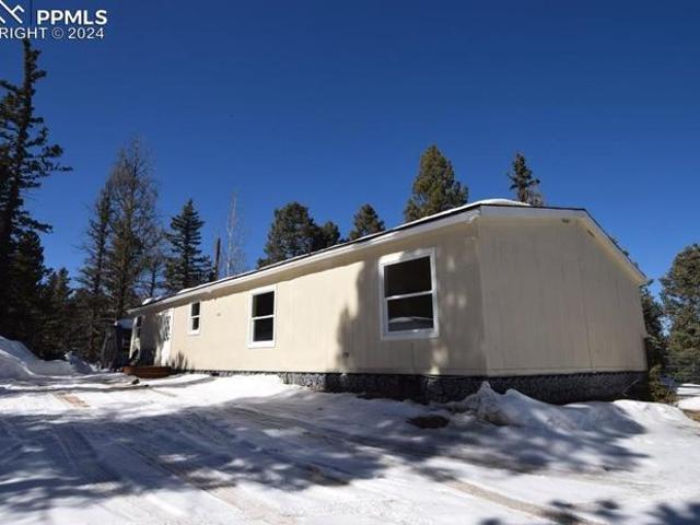 287 Anderson Rd, Divide, CO 80816