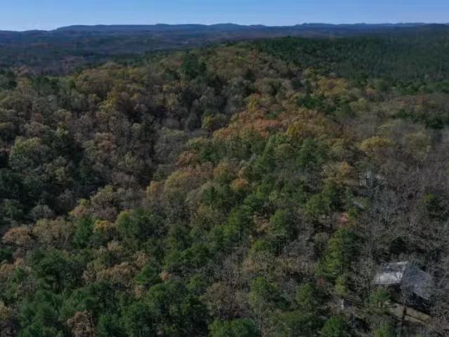 287 GRANVILLE LN, MOUNT IDA, AR 71957 Single Family Residence.