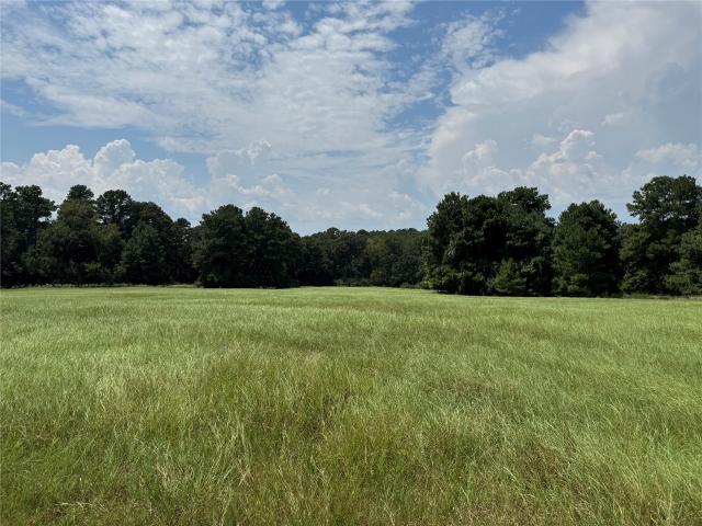287 N Grapeland, TX 75844 | MLS #80266 | Compass