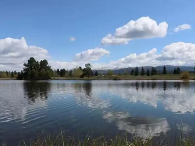 287 RAWHIDE LOOP, MCCALL, ID 83638 Vacant Land For Sale MLS#.