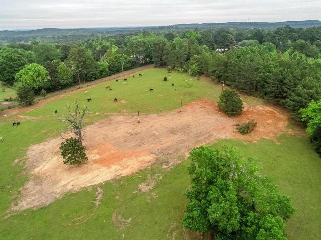2885 Firetower Road
