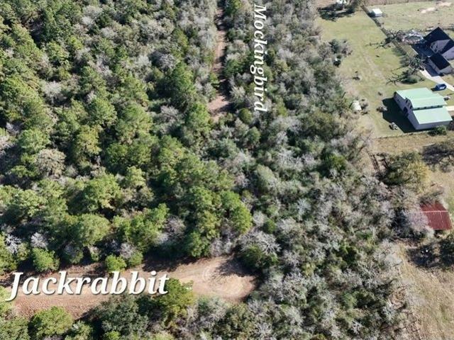 28802 Jackrabbit Dr, Hempstead, TX 77445