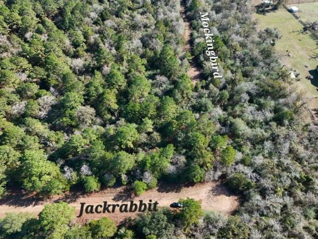 28802 Jackrabbit Drive