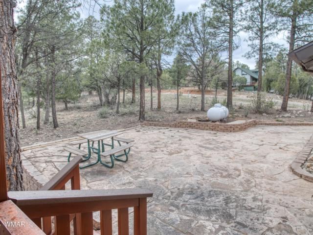 2881 Lodgepole