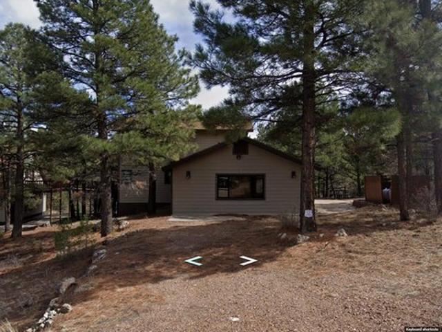 2881 Lodgepole Rd, Overgaard, AZ 85933