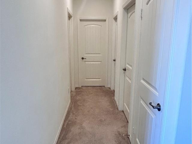 28822 Horsetail