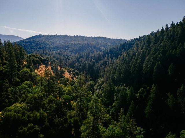 2883, 2885, 3369 Railroad Flat Road North, Wilseyville, United States, CA