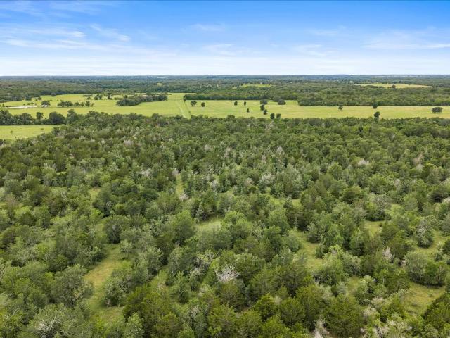 288 Charcoal Road