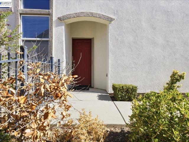 288 Black Amber Way