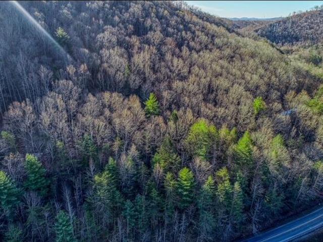 288 Frost Bottom Road
