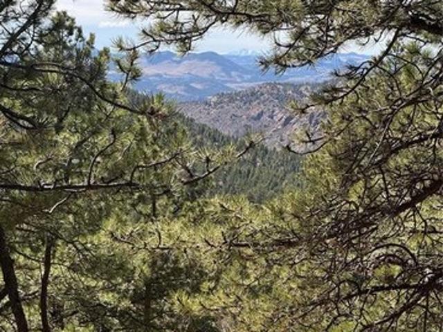 288 Troy Dr, Cripple Creek, CO 80813
