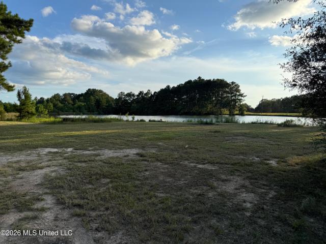 2895 Silver Run Road
