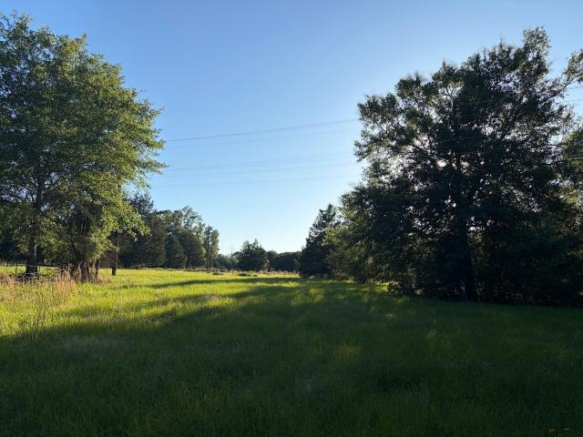 289 County Road 261