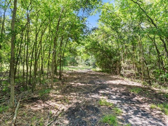 289 County Road 4586, Sulphur Springs, TX 75482 | MLS #20998