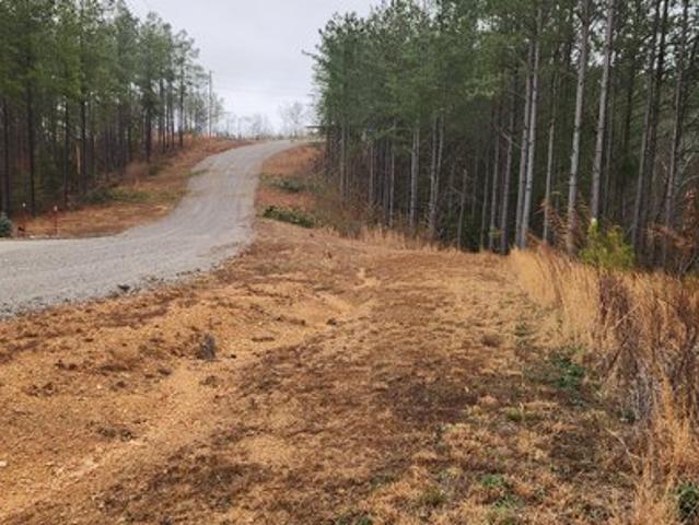289 Center Ridge Dr, Linden, TN 37096